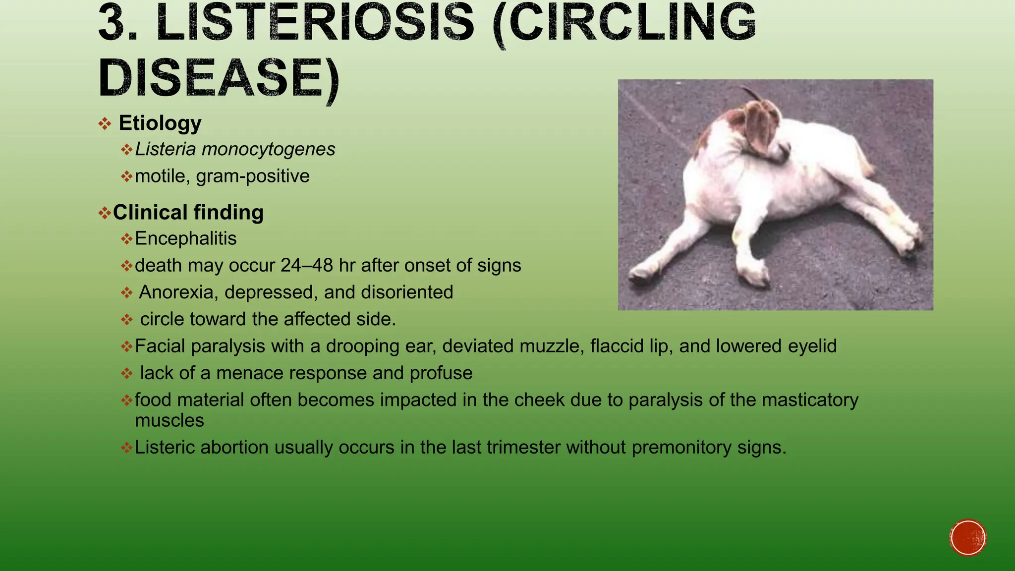 Major Bacterial Diseases affecting livestock .pptx