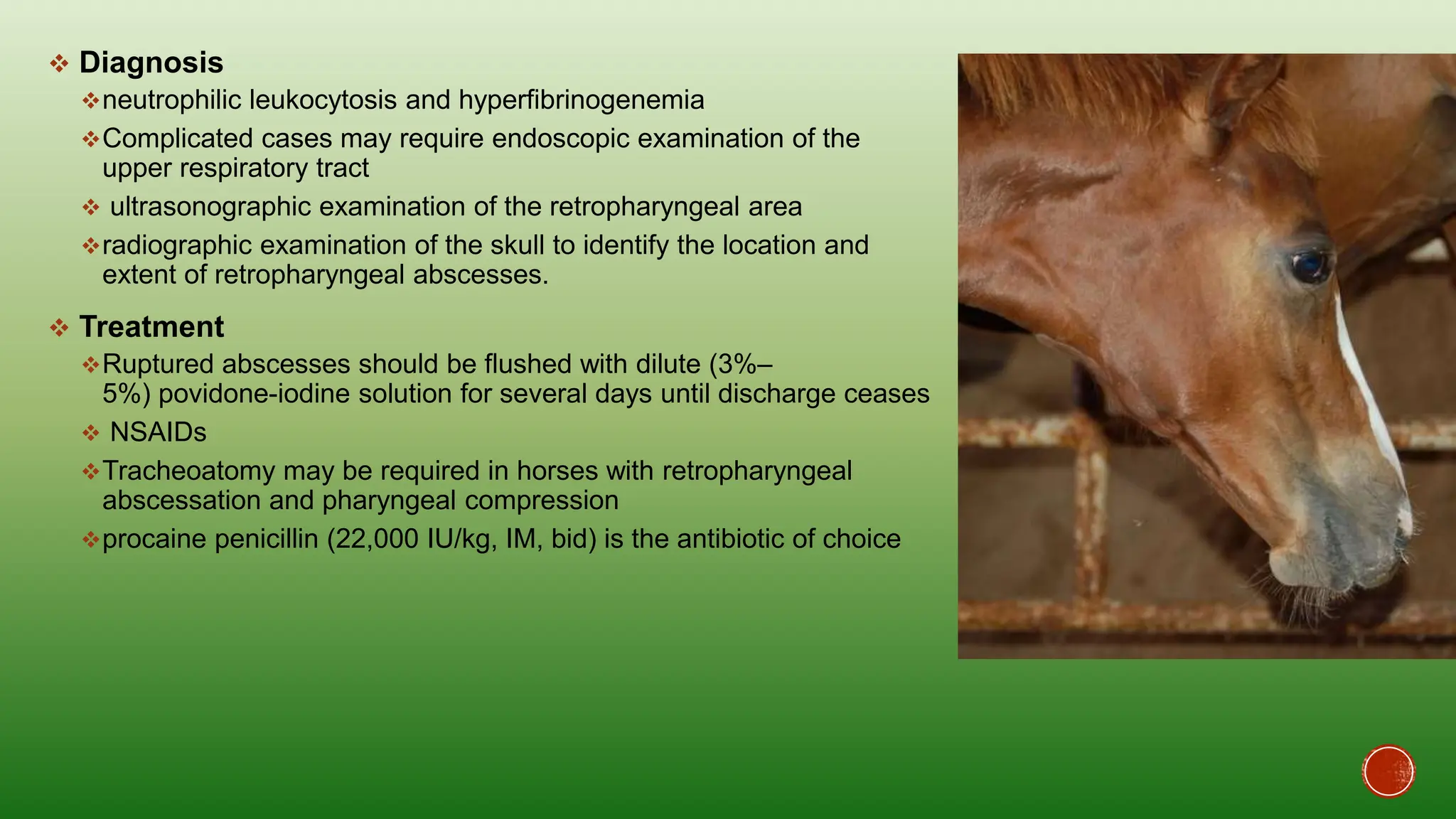Major Bacterial Diseases affecting livestock .pptx