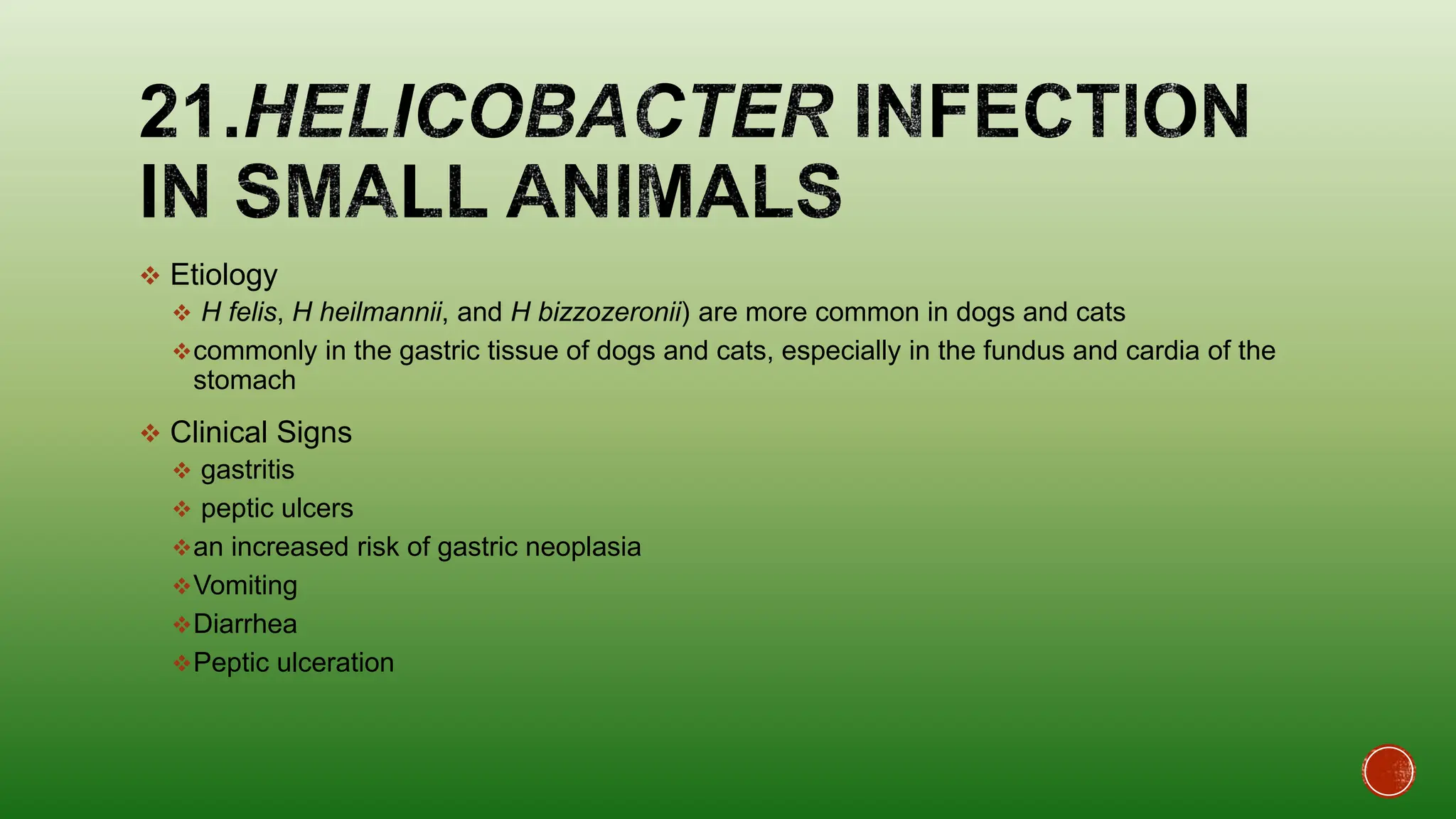 Major Bacterial Diseases affecting livestock .pptx