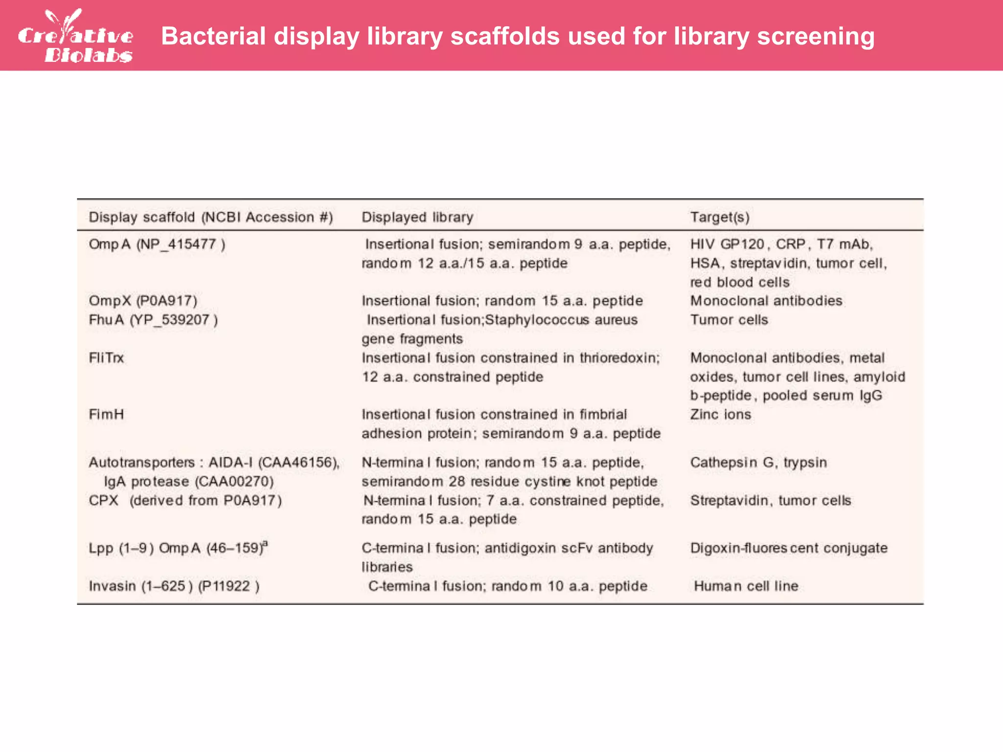 Bacterial Display Technology - Creative Biolabs | PPT