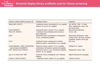 Bacterial Display Technology - Creative Biolabs | PPTX