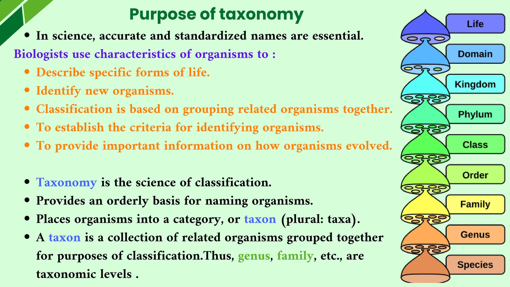 Bacterial Diversity and Evolution Bacterial Taxonomy Lecture (4)_.pdf