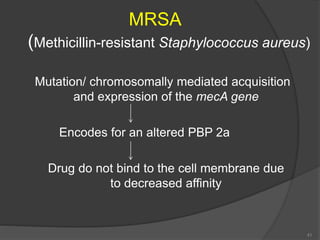 Bacterial drug resistance | PPTX