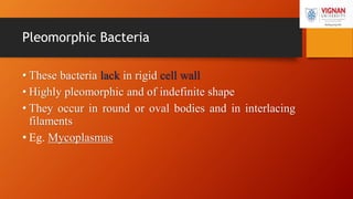 Classification of Bacteria- Alka Kumari, Assistant Professor | PDF