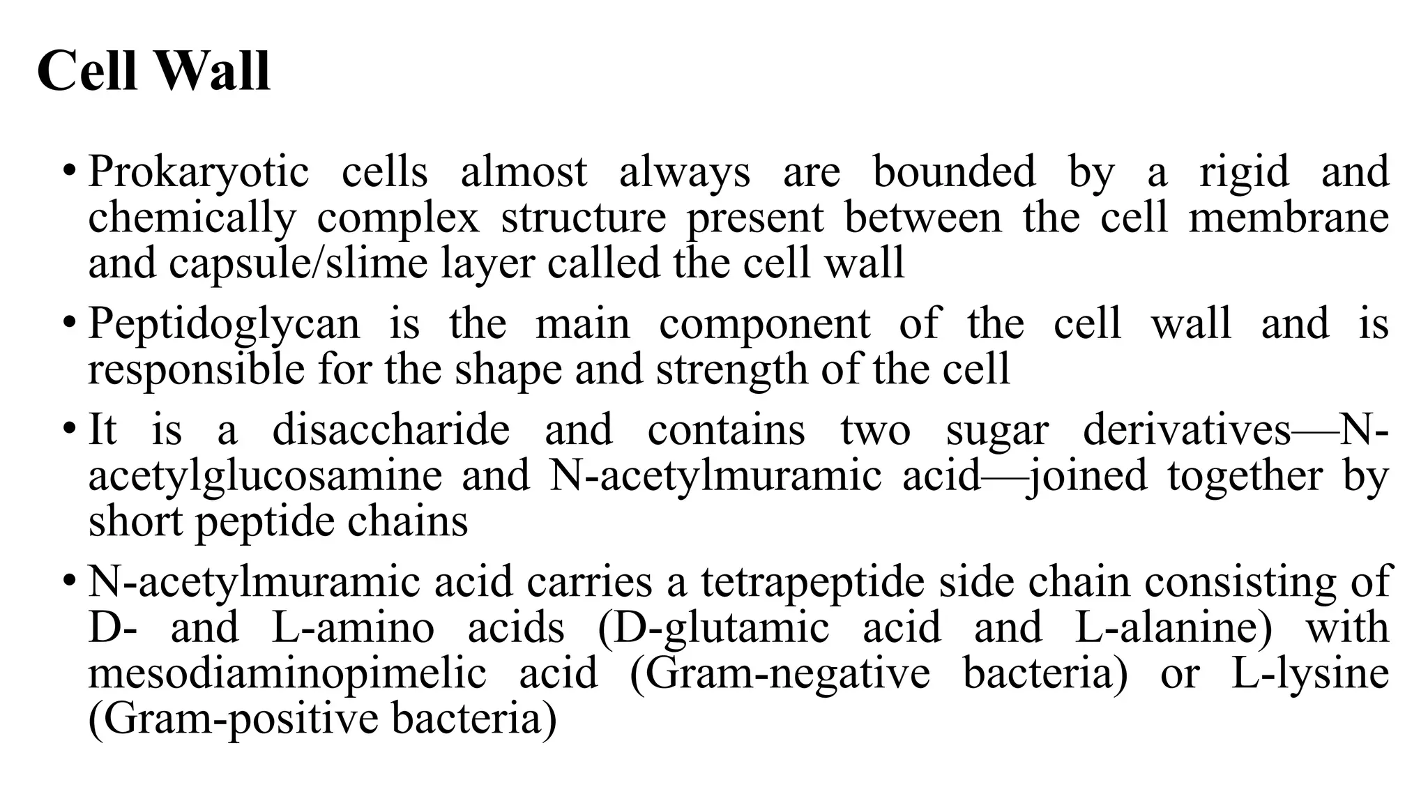 Bacteria lec | PPTX
