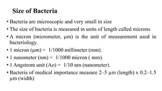 Bacteria lec | PPT
