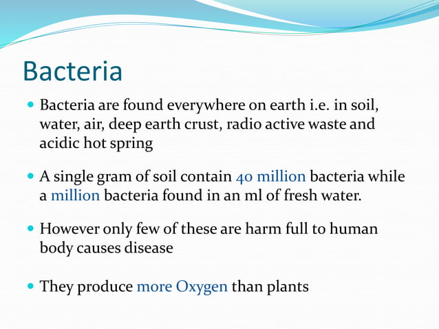Bacteria Lec 33333333333333333rd sem.pptx