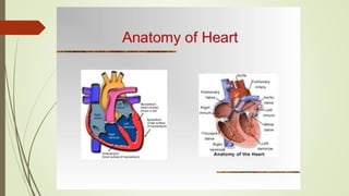 Bacterial endocarditis | PPTX