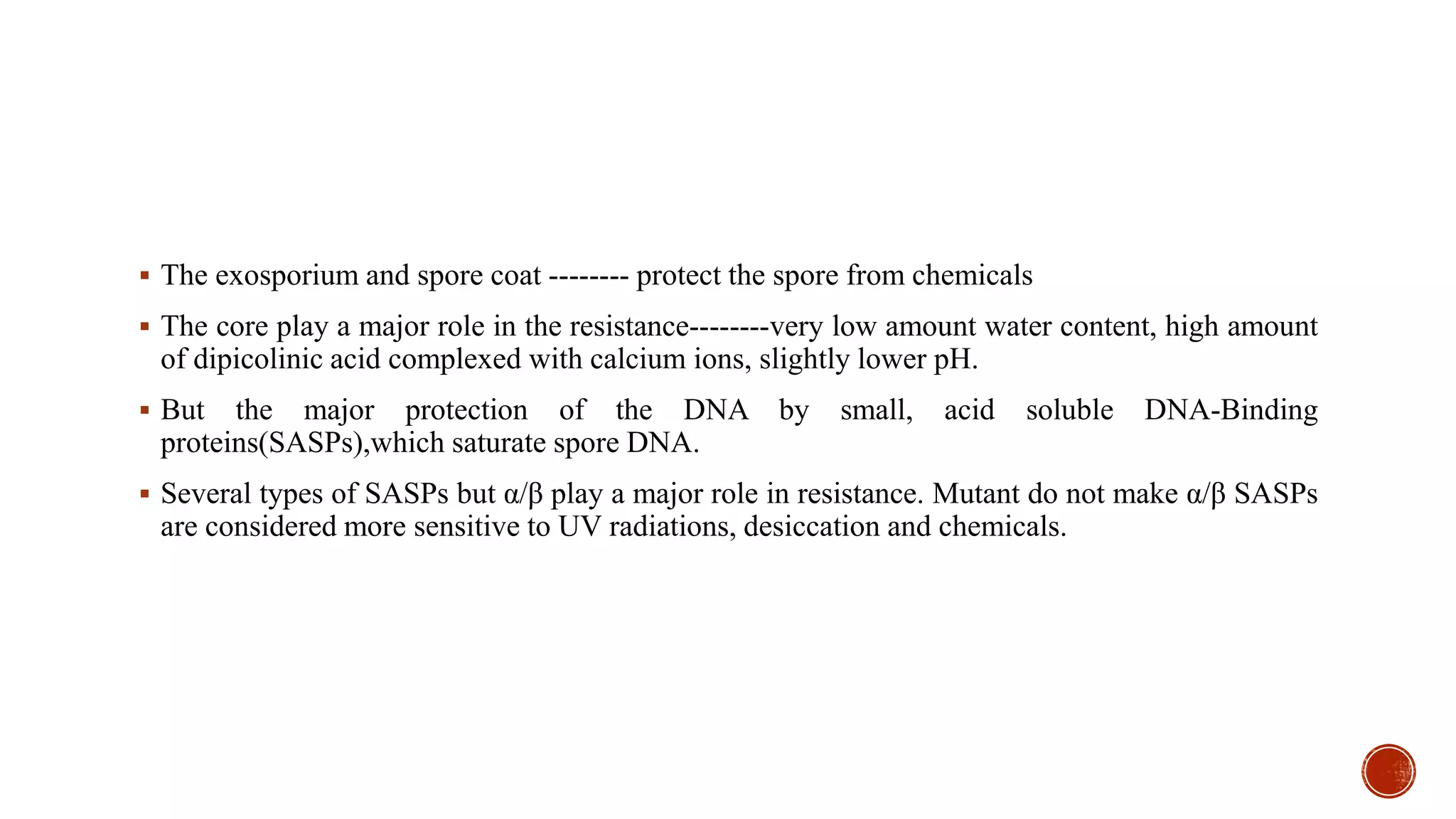 Bacterial endospore | PPTX