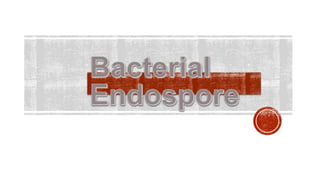 Bacterial endospore | PPTX