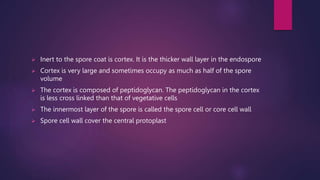 BACTERIAL ENDOSPORE.pptx