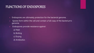 BACTERIAL ENDOSPORE.pptx
