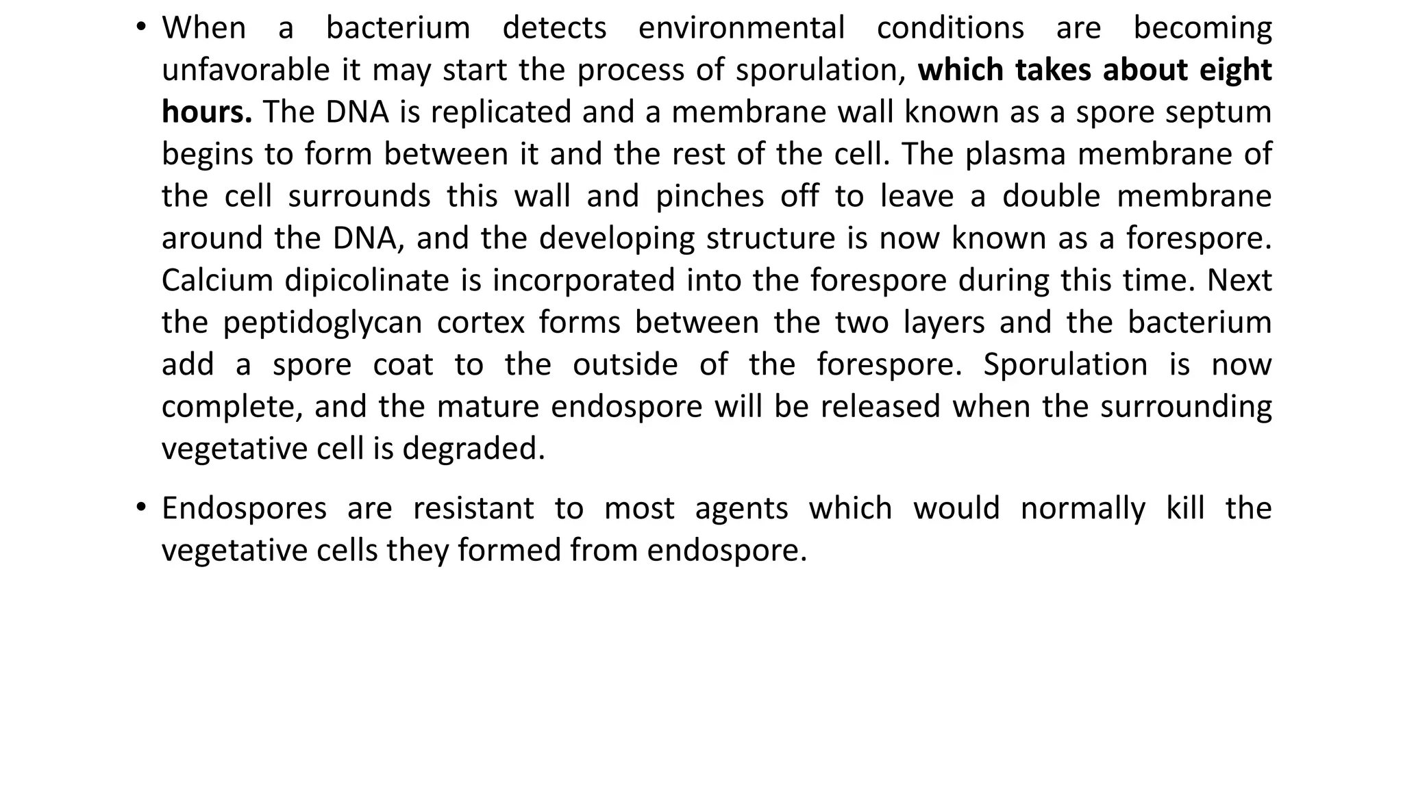Bacterial Endospore.ppt
