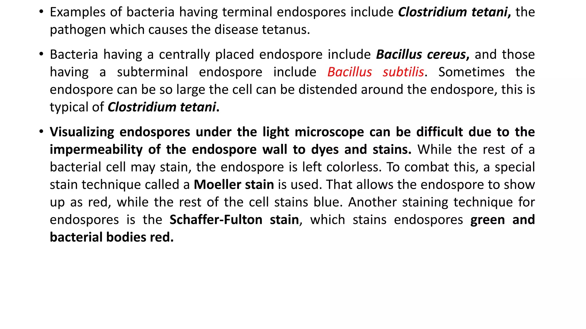 Bacterial Endospore.ppt
