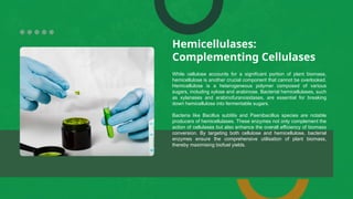 How Bacterial Enzymes Boost Biofuel Production Efficiency | PPTX