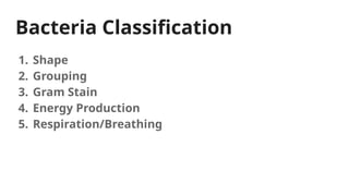 Bacteria Lesson on bacteria and their reproductive | PPT