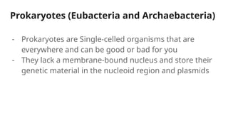 Bacteria Lesson Powerpoint for grade 11 college biology | PPTX