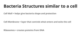 Bacteria Lesson Powerpoint for grade 11 college biology | PPTX