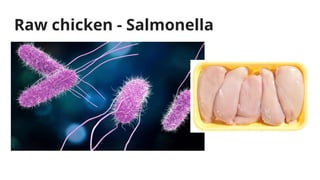 Bacteria Lesson Powerpoint for grade 11 college biology | PPTX