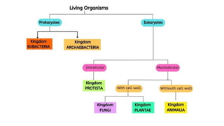 Bacteria Lesson Powerpoint for grade 11 college biology | PPTX