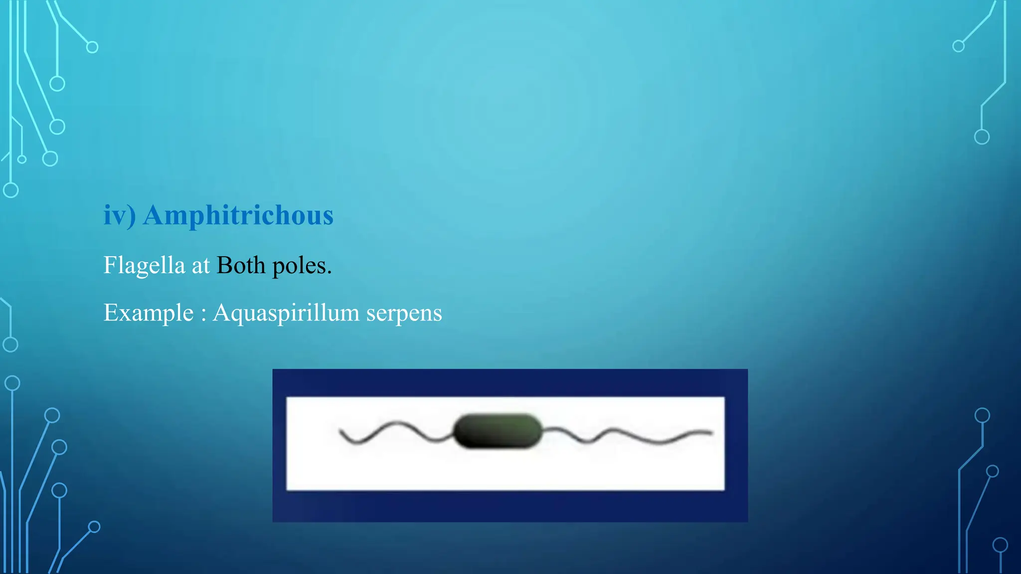 Surface appendages: Bacterial Flagella and pili.pptx