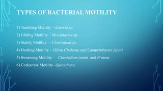 Surface appendages: Bacterial Flagella and pili.pptx
