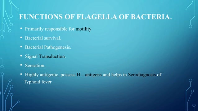 Surface appendages: Bacterial Flagella and pili.pptx