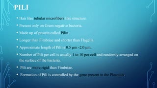 Surface appendages: Bacterial Flagella and pili.pptx