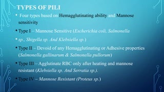 Surface appendages: Bacterial Flagella and pili.pptx