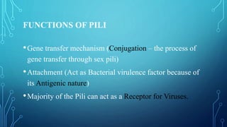 Surface appendages: Bacterial Flagella and pili.pptx