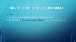 Surface appendages: Bacterial Flagella and pili.pptx