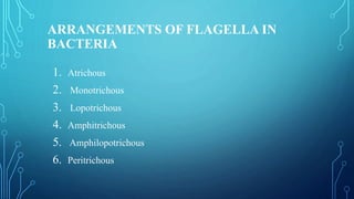 Surface appendages: Bacterial Flagella and pili.pptx