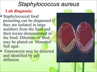 Bacterial food poisoning | PPT