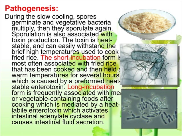 Bacterial food poisoning | PPT | Digestive Disorders | Diseases and ...