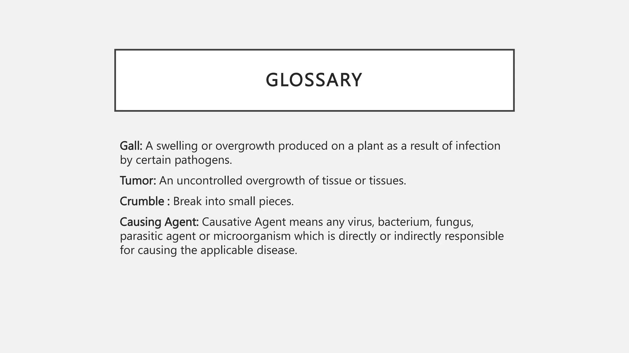 bacterial galls.pptx