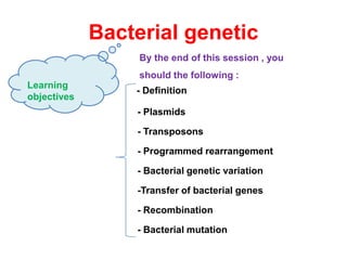 Bacterial genetic | PDF | Genetics | Science