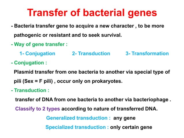 Bacterial genetic | PDF | Genetics | Science