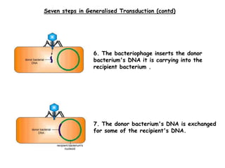 Bacterial Genetic Recombination II-1.ppt