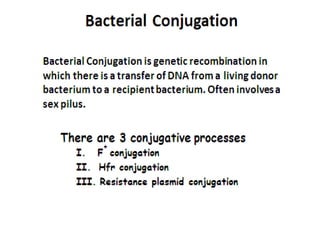 Bacterial Genetic Recombination II-1.ppt