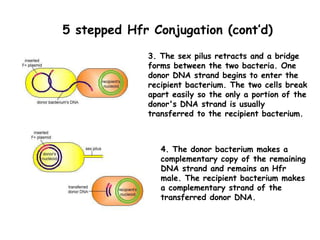 Bacterial Genetic Recombination II-1.ppt