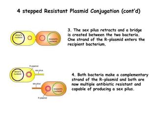 Bacterial Genetic Recombination II-1.ppt