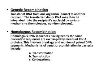 Bacterial Genetic Recombination II-1.ppt