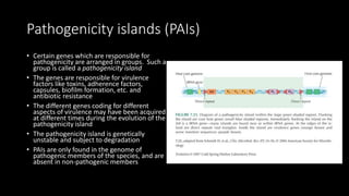 Bacterial genetics - Basic concepts, by Dr. Himanshu Khatri | PPTX