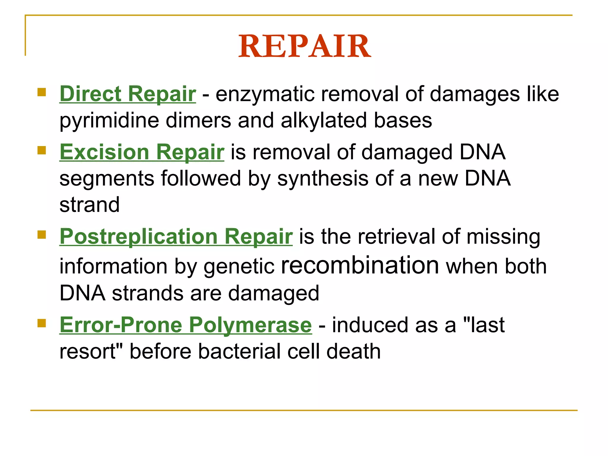 Bacterial genetics | PPT