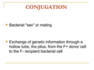Bacterial genetics | PPT