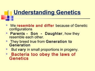 Bacterial genetics | PPT