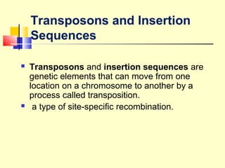 Bacterial genetics | PPT