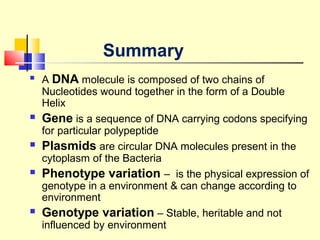 Bacterial genetics | PPT