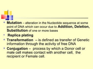 Bacterial genetics | PPT