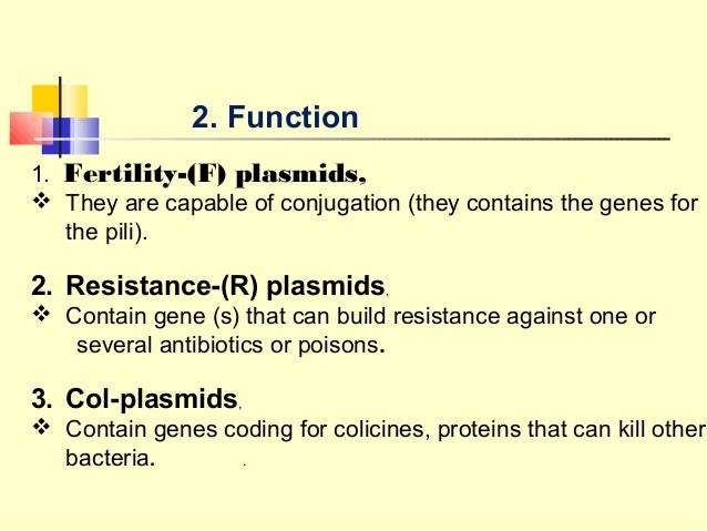Bacterial genetics